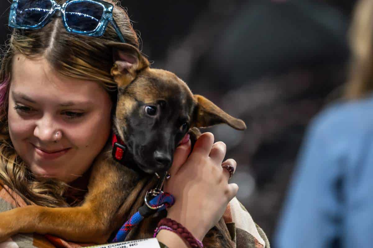Fido Photos! 15 Rescue Dogs Find New Homes at Lucky’s Mutt Madness During Equip Expo — Compact ...