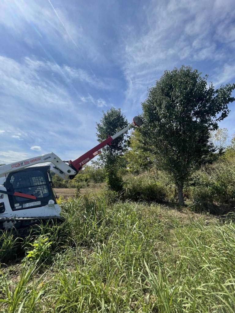 Fecon Acquires TREEfrogg, Rebrands Awesome Telescoping Tree Saws ...