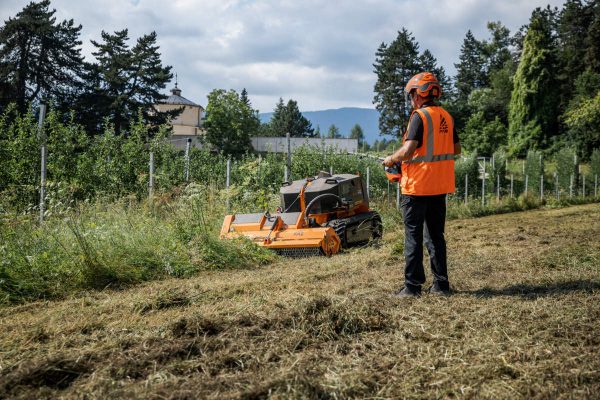 FAE PMM/RCU75 Swinging Hammer Mulcher for Remote-Control