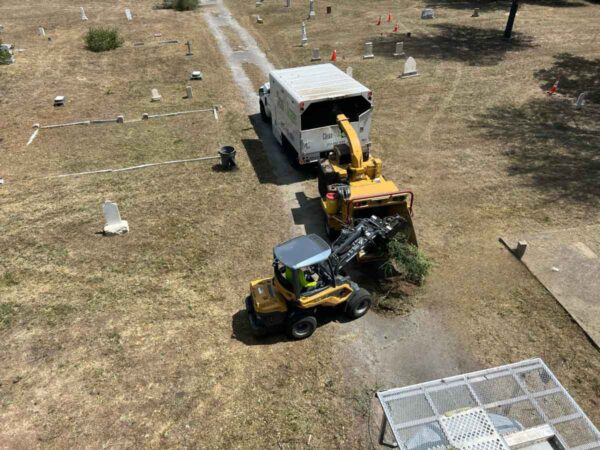 Clean Scapes Landscaping Finds Versatility in Compact Articulated Loaders for Urban Tree Care ...