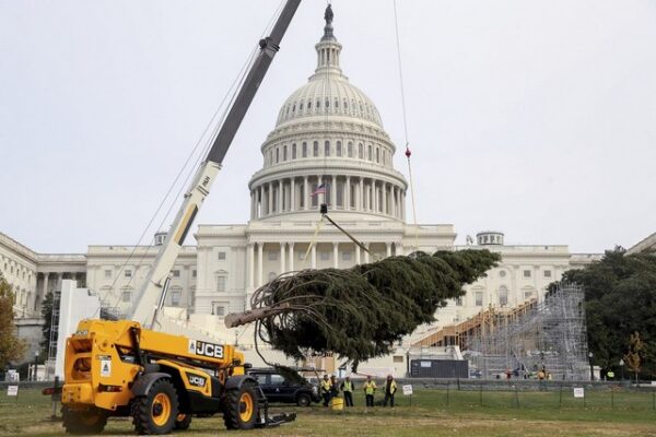 JCB Loadall telehandler Gives a Lift to Capital’s Holiday Celebrations